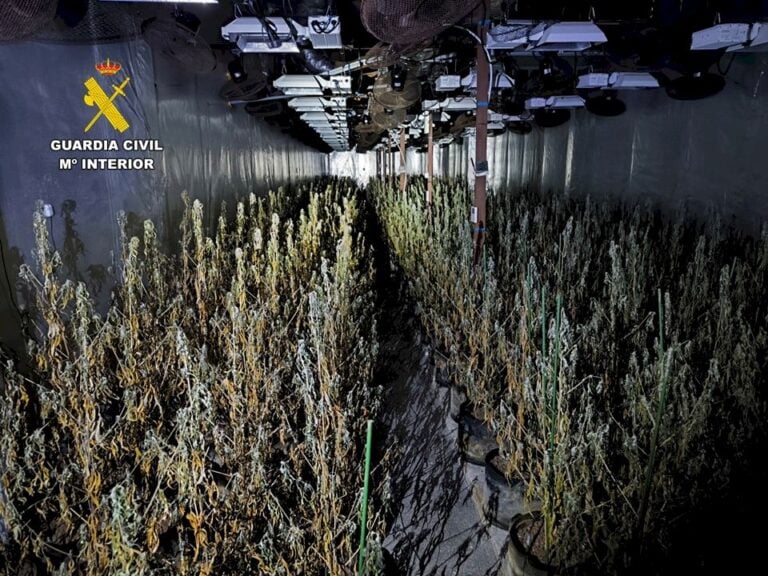 'Most sophisticated' indoor marijuana farm to be found in years is ...