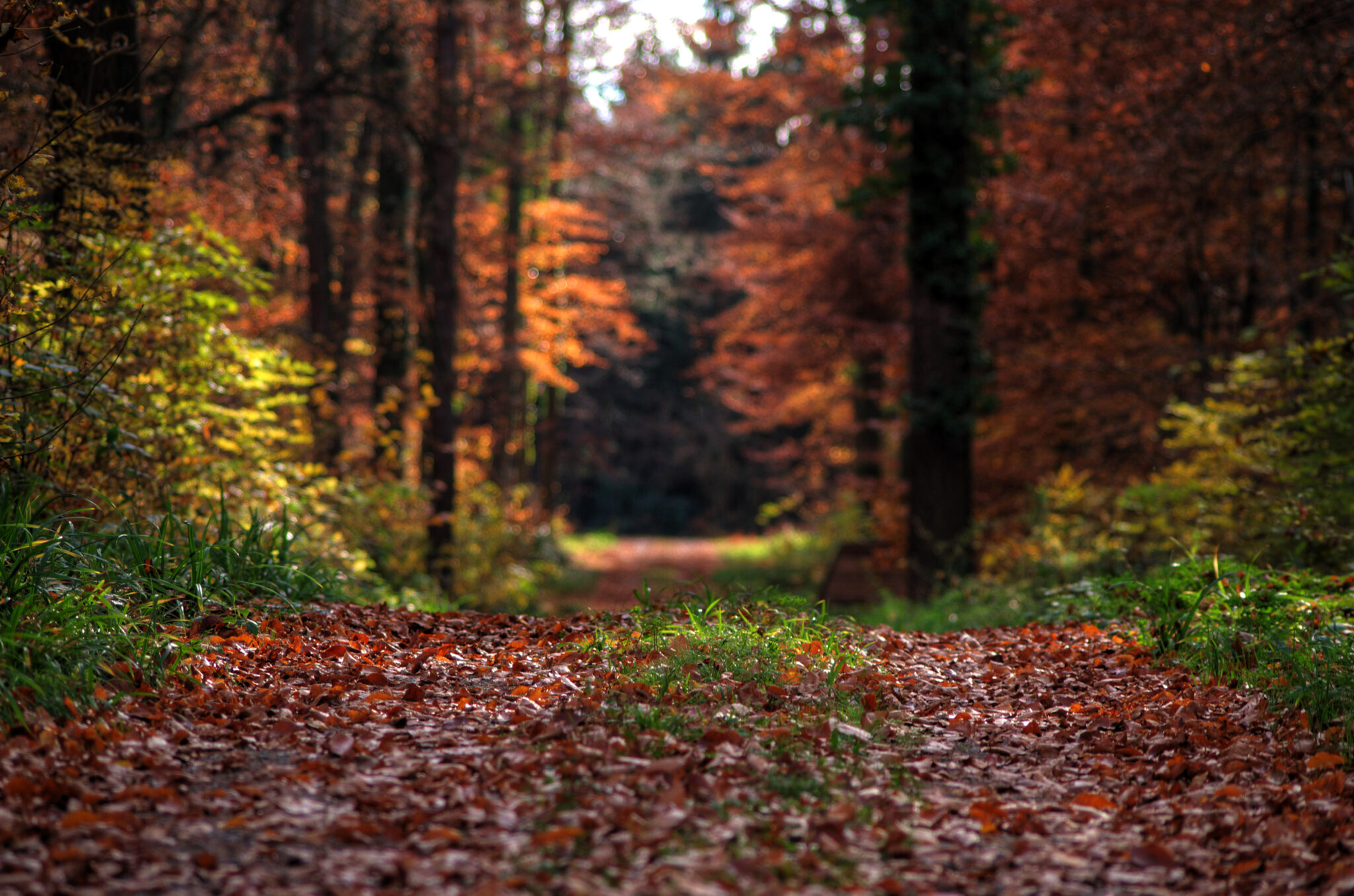 IN PICS: The world’s largest aircraft carrier cruises past the Rock as ...
