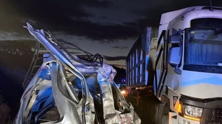 Driver killed and car totalled after wild boar runs into Costa del Sol ...