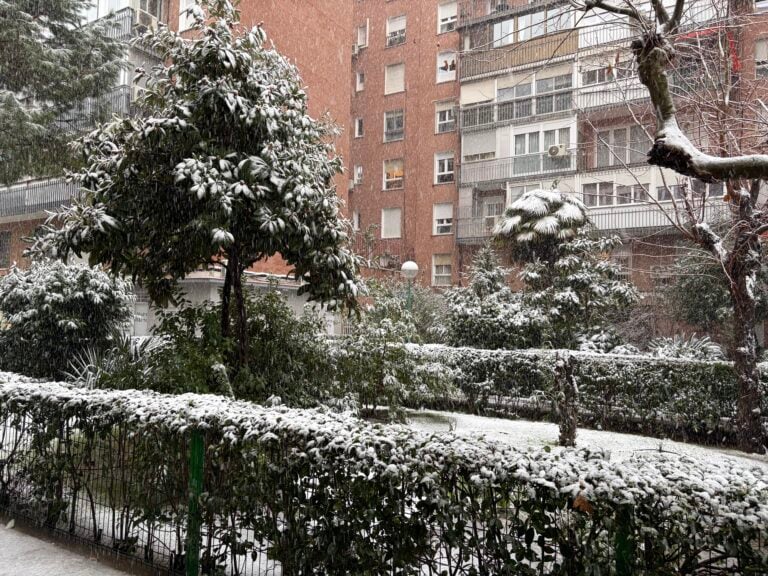 Heavy snowfall brings Madrid to a halt as AEMET issues city-wide alerts ...