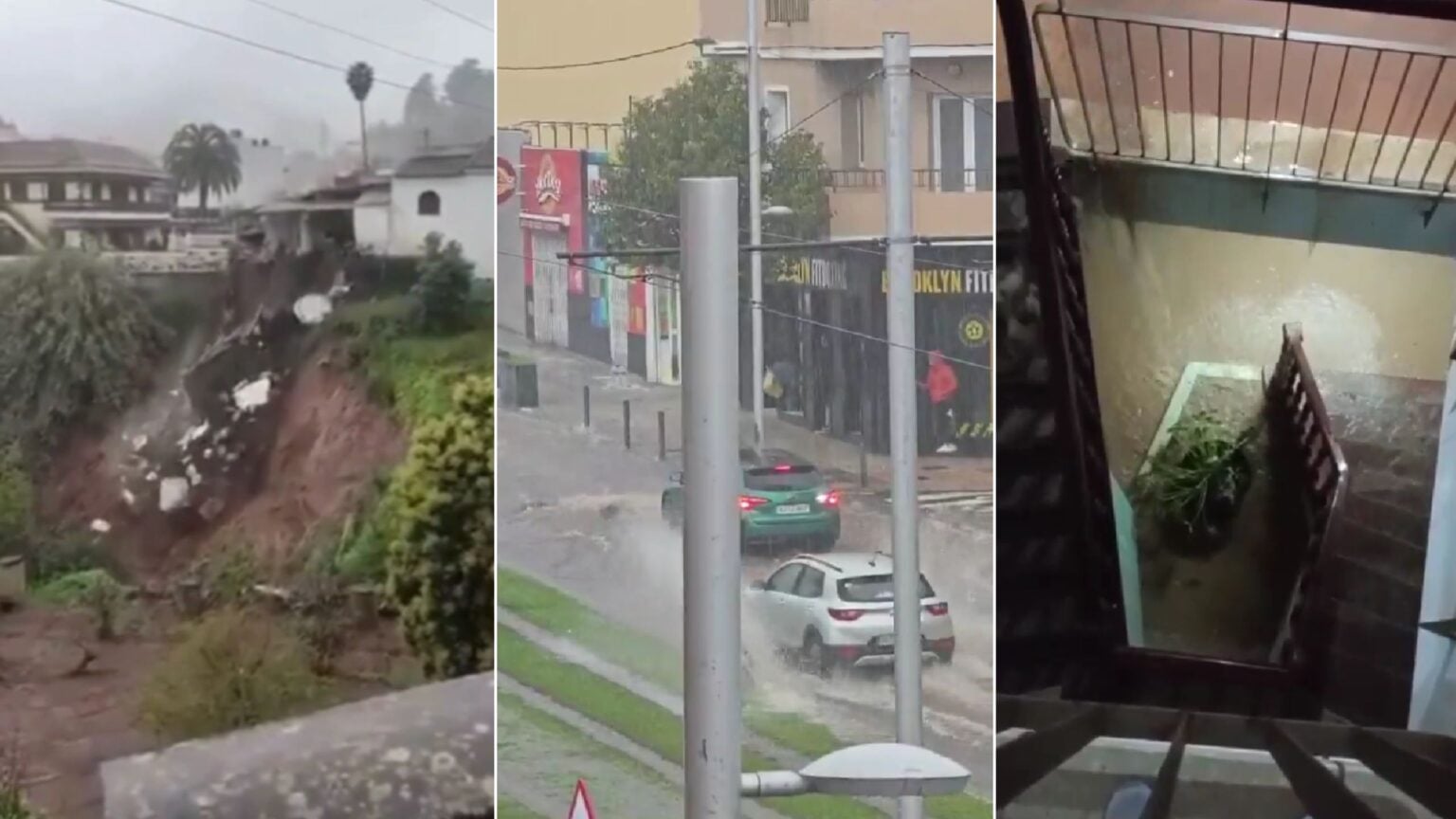 Canary Islands News - The Olive Press Spanish Newspaper