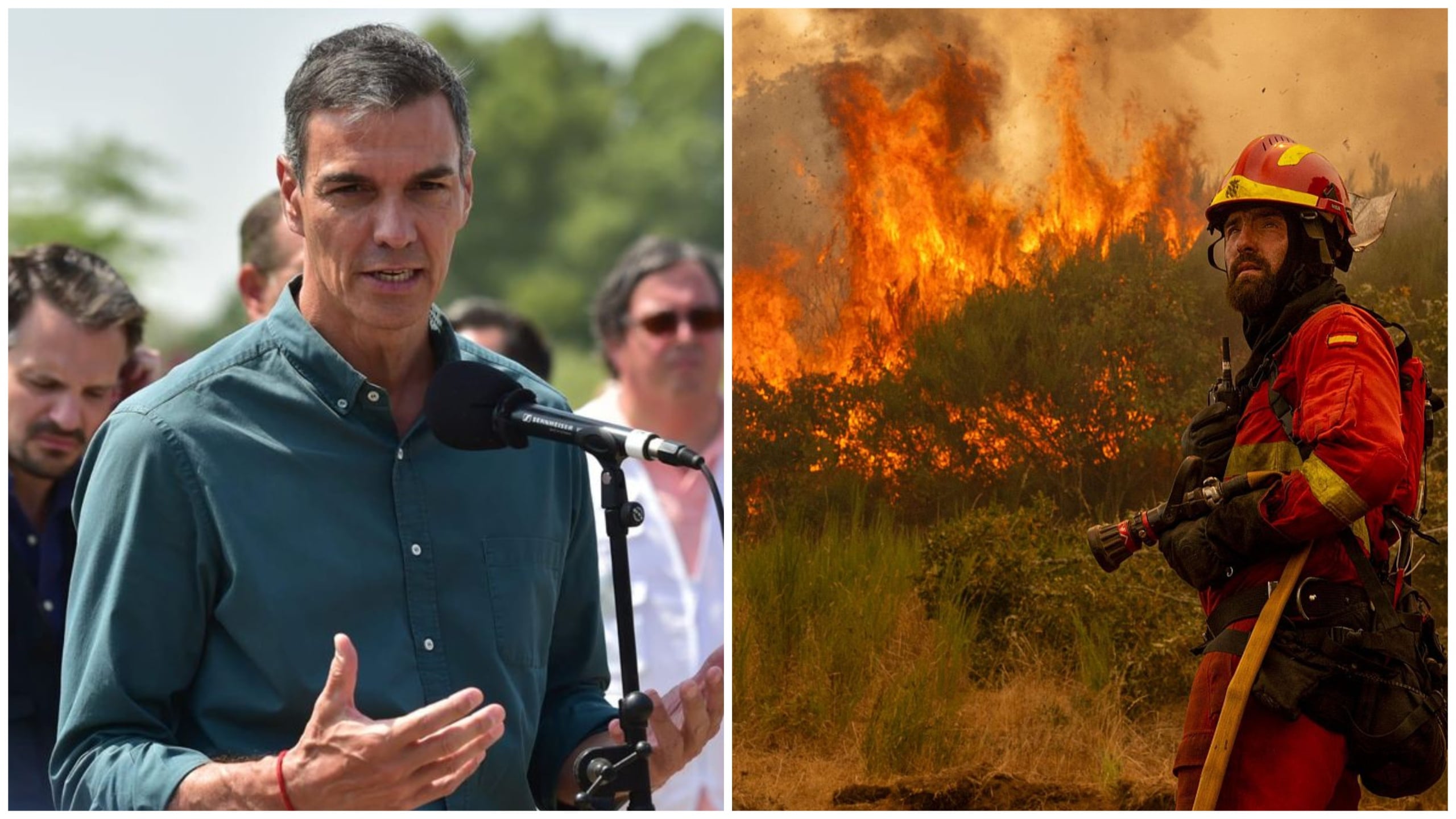 Spain launches anti-wildfire campaign as heatwave begins