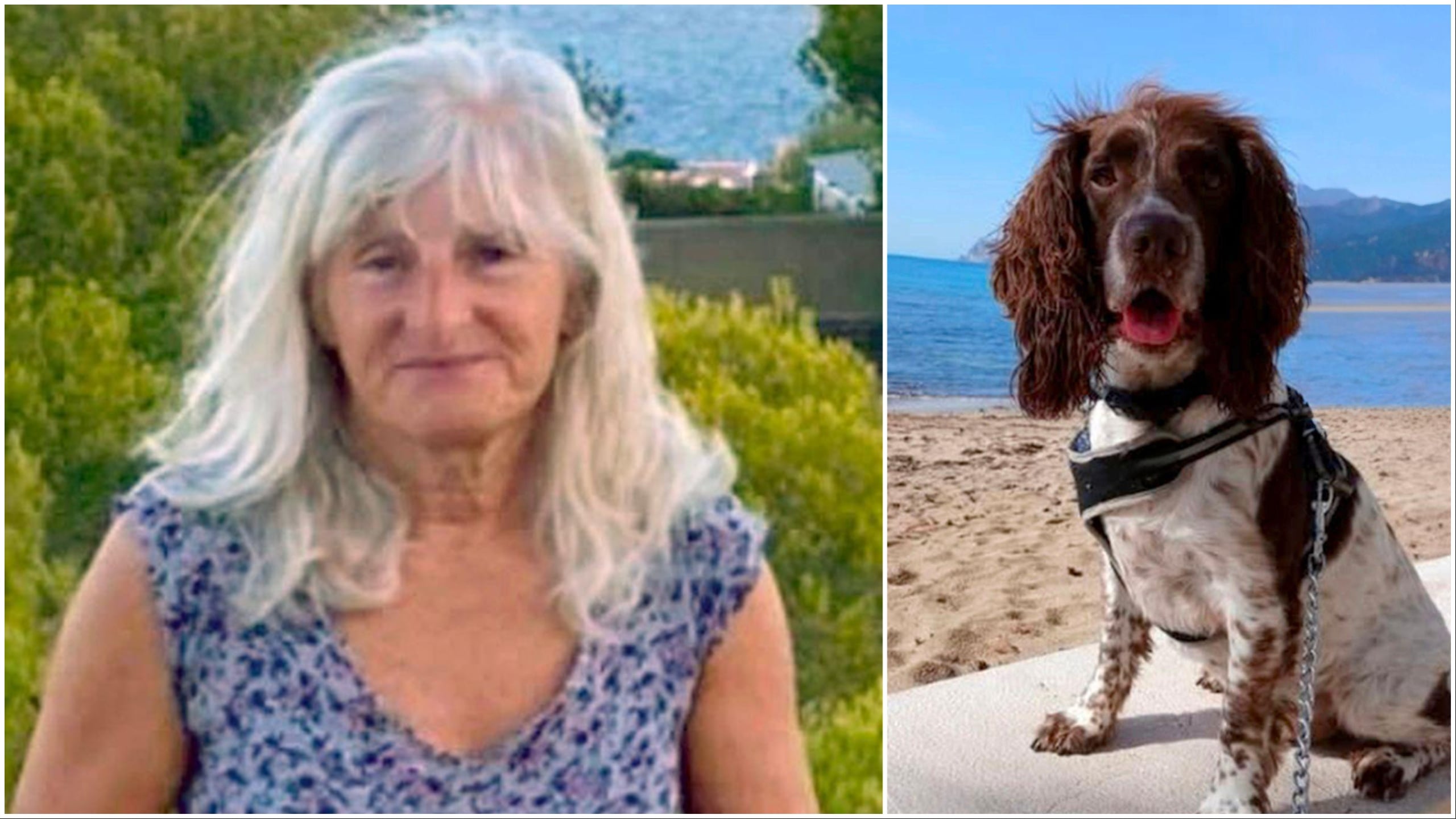 MISSING: British woman and pet dog vanish near Valencia
