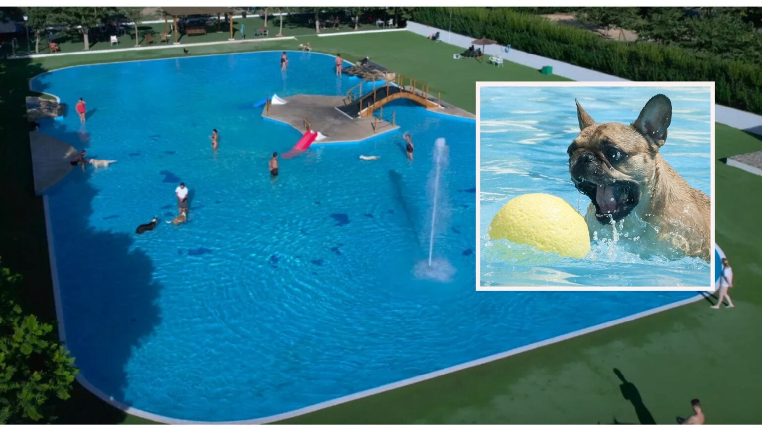 Where to holiday in Spain with your pet dog this summer