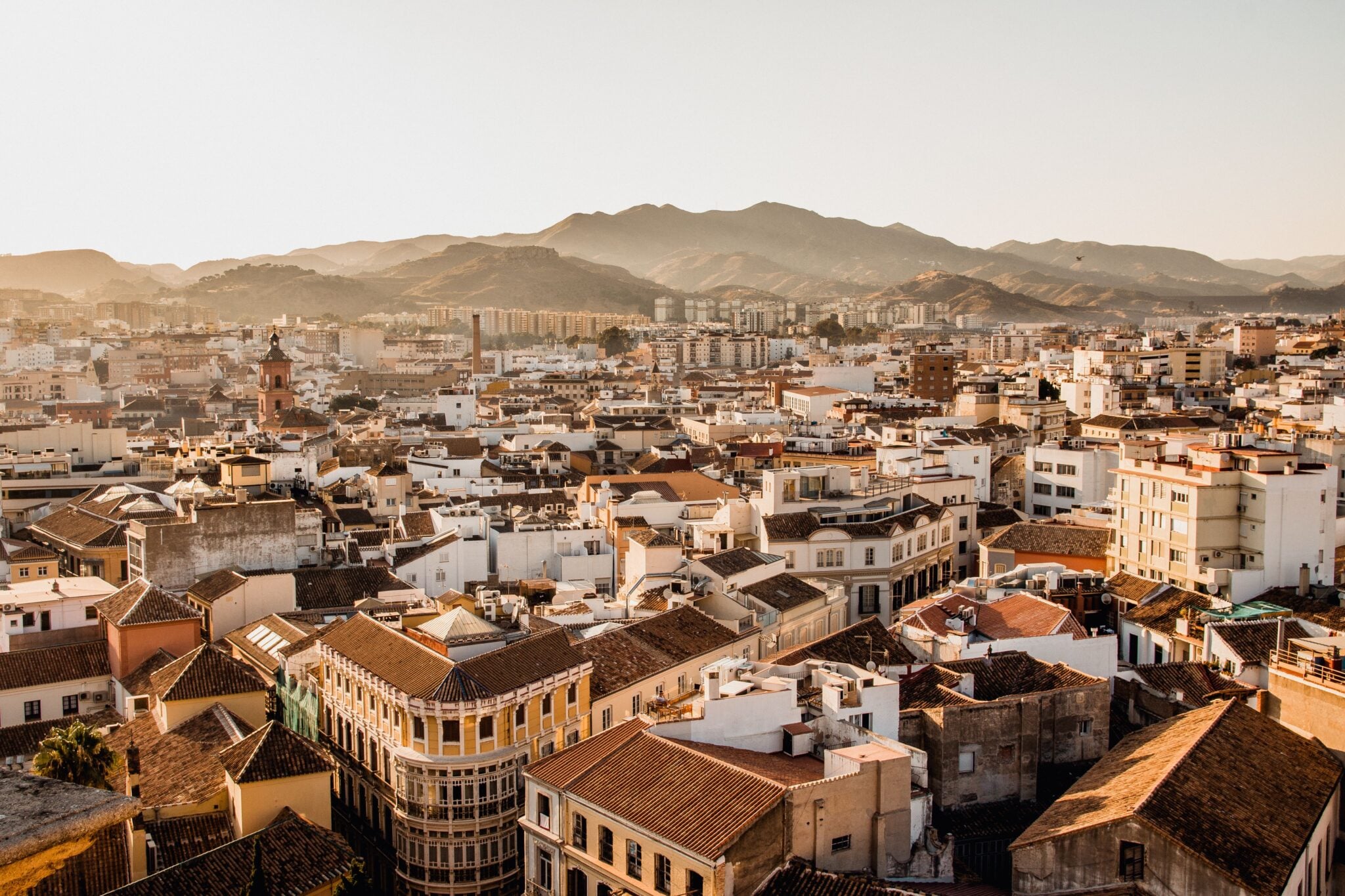 Malaga News - The Olive Press Spanish Newspaper